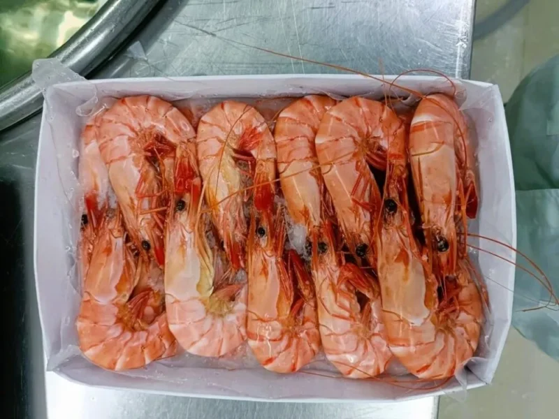 FROZEN COOKED BLACK TIGER HOSO – magnawave.com.my