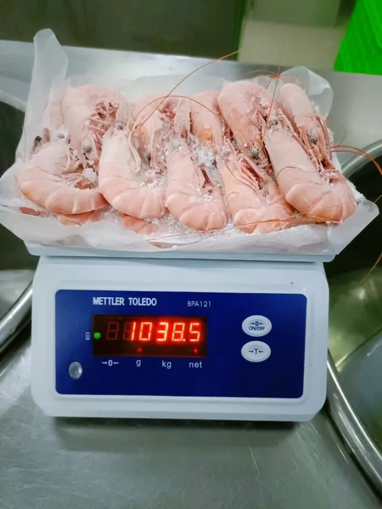 FROZEN COOKED BLACK TIGER HOSO – magnawave.com.my