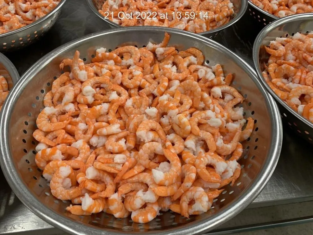 Frozen Prawn Products My