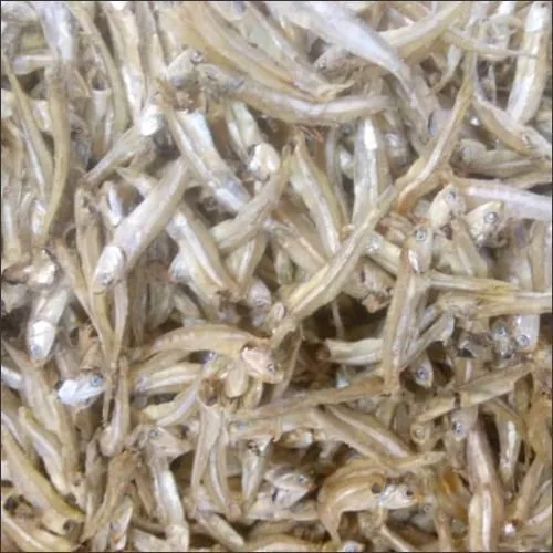 Anchovies XL with Head – magnawave.com.my