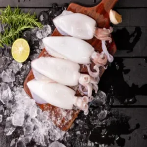 FROZEN CUTTLEFISH WHOLE CLEANED – magnawave.com.my