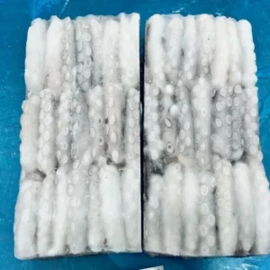 FROZEN CUTTLEFISH SLICE SUSHI – magnawave.com.my