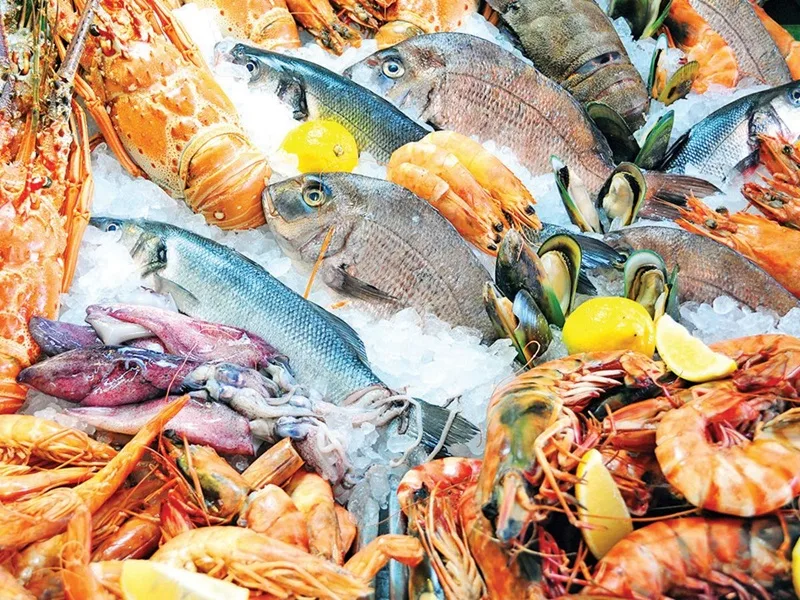 FROZEN SKIPJACK TUNA WHOLE ROUND – magnawave.com.my