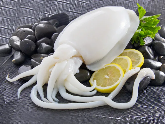 FROZEN CUTTLEFISH WHOLE CLEANED – magnawave.com.my